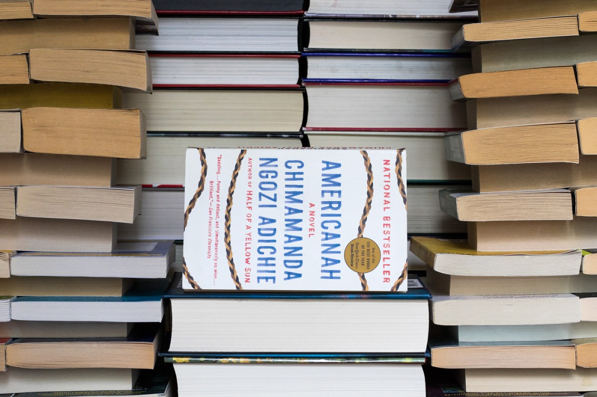 Americanah: Reflection – Tea Reads